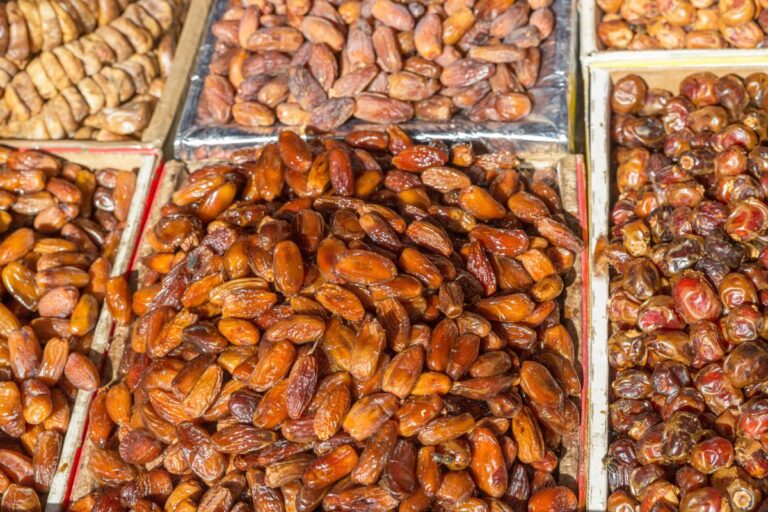 The best Morocco Date Palms 2026: Cultivating Tradition