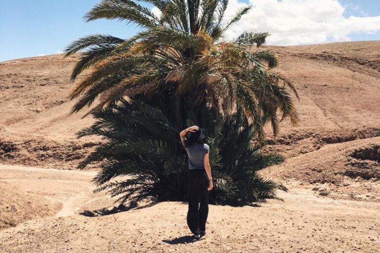Agafay Desert 2026: Discover Morocco's Martian Oasis 2026